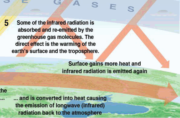 alan-siddons-copy - Jennifer Marohasy