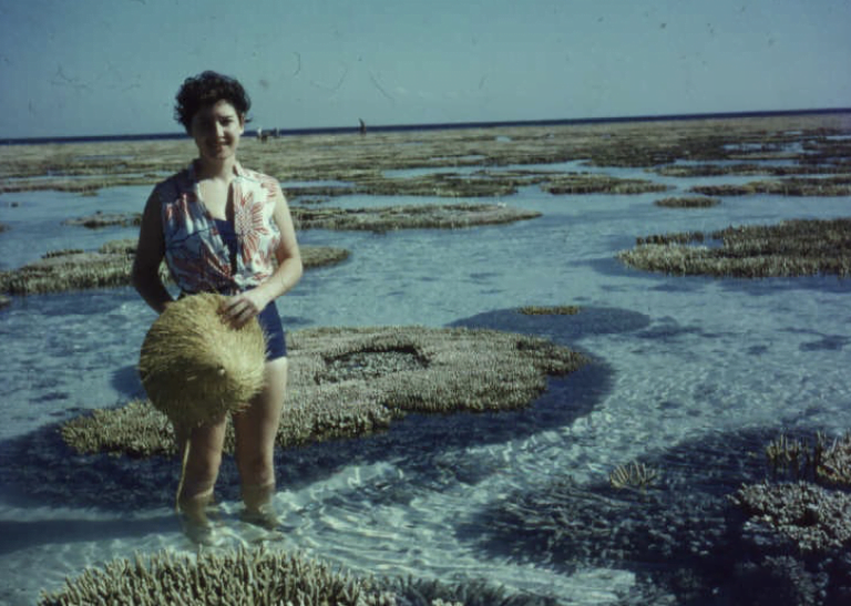 Sea Level Fall at the Great Barrier Reef – Climate Depot