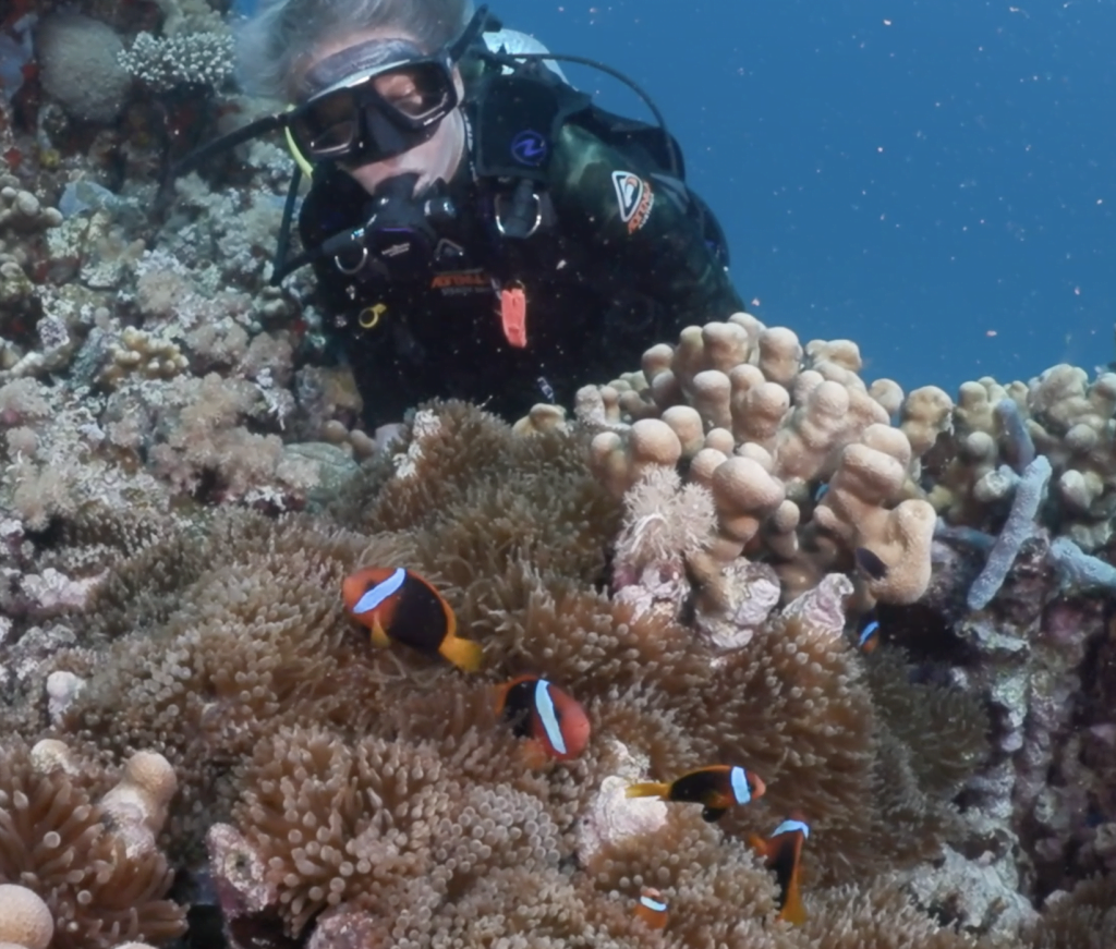 Peter Ridd versus Prestige, and Clown Fish Beyond that Mudflat ...