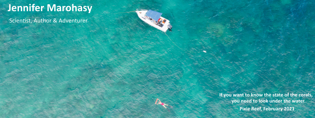 On the First Principles of Heat Transfer: A Note from Alan Siddons ...