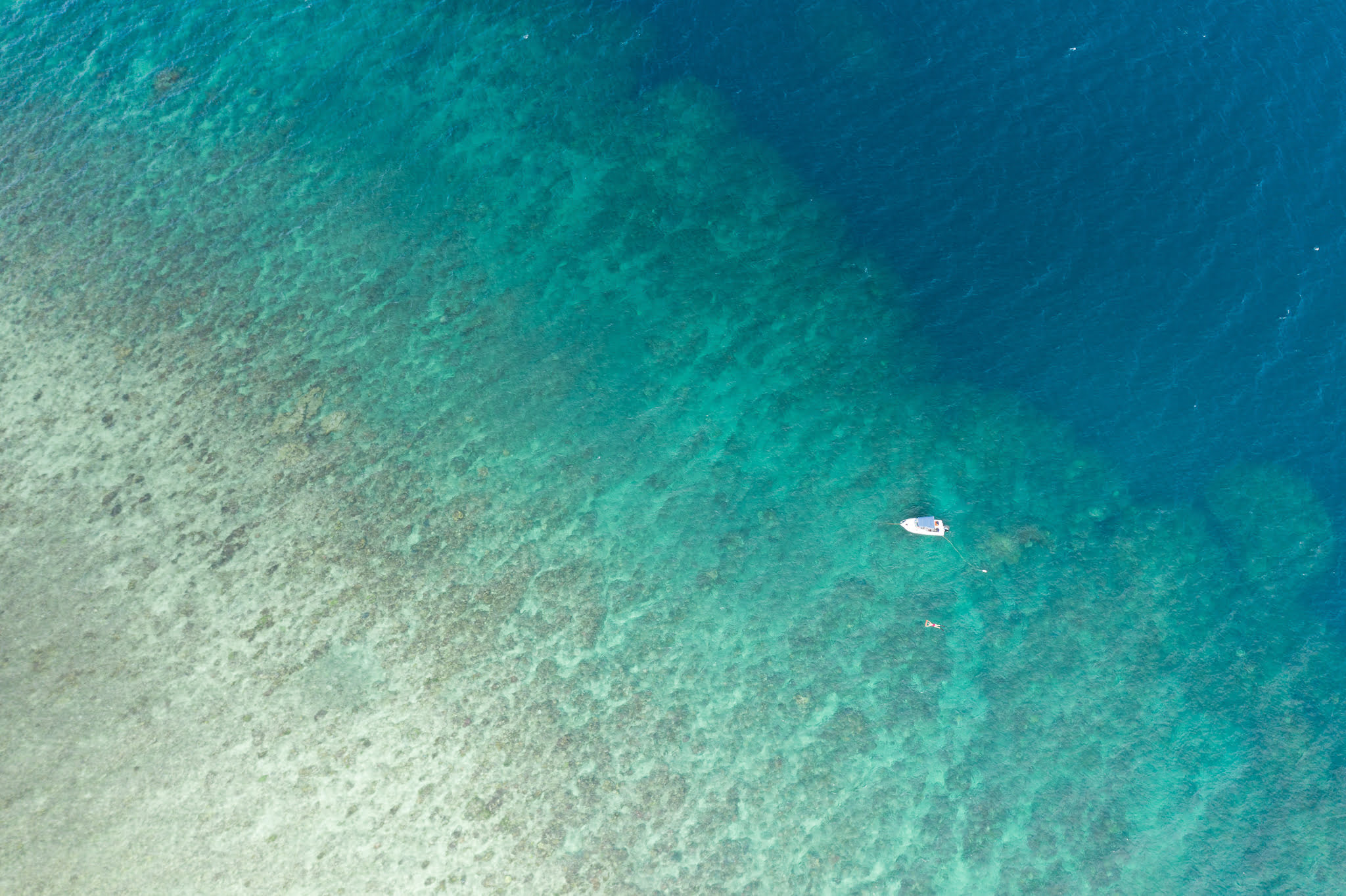 Coral Reefs - Jennifer Marohasy