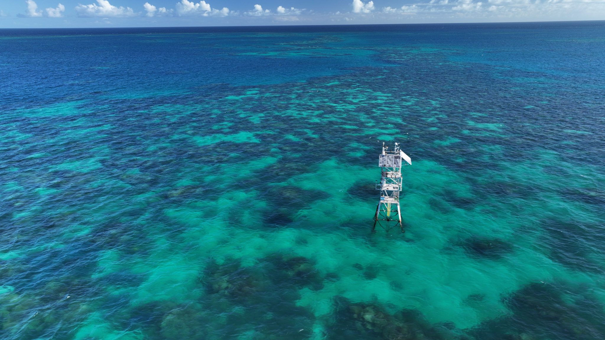 Davies Reef – Part 2, Central Great Barrier Reef, April 2024 - Jennifer ...