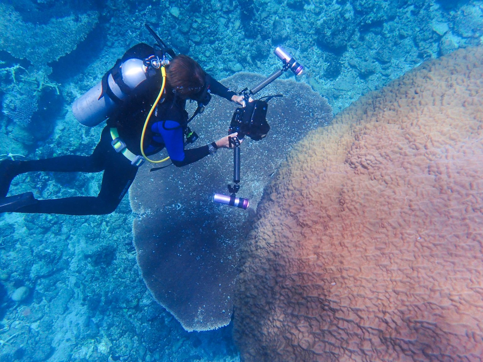 Wheeler, Chicken, Lynch – Central Great Barrier Reef, April 2024. Part ...