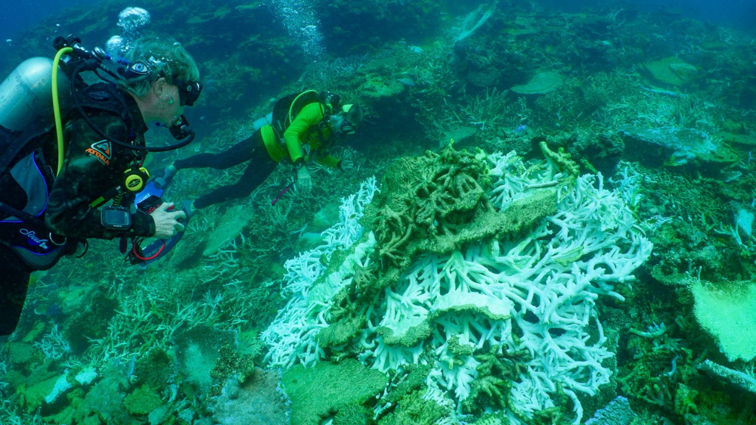 Denying the Most Precious – Natural Cycles (Part 1) - Jennifer Marohasy